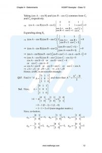 NCERT Exemplar for Class 12 Maths Chapter 4 – MathonGo