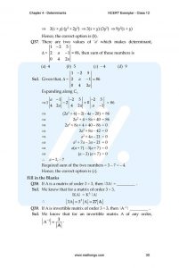 NCERT Exemplar for Class 12 Maths Chapter 4 – MathonGo