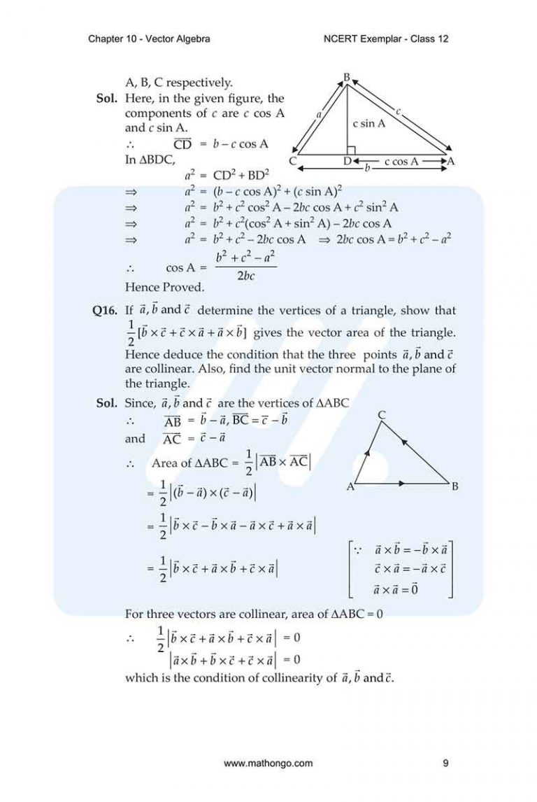 NCERT Exemplar for Class 12 Maths Chapter 10 – MathonGo